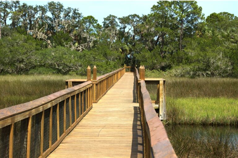 Fort Mose Historic State Park - America's First Free Black Community